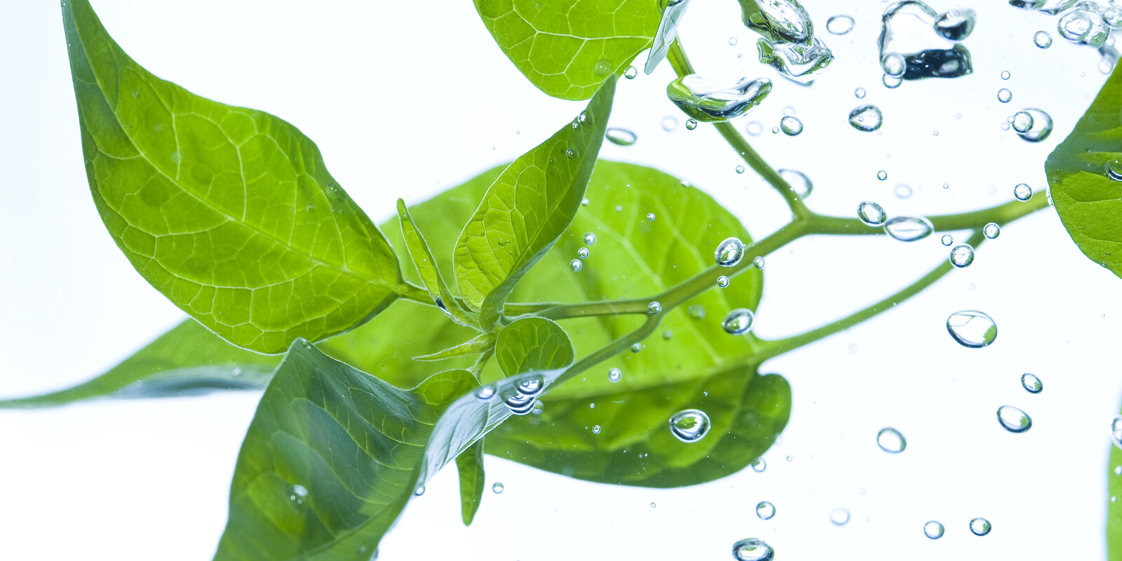 Applications & Solutions for Environment & Energy - NETZSCH Pumps & Systems