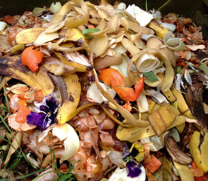 Pumps for Bio-Food Waste Processing in India - NETZSCH Pumps & Systems