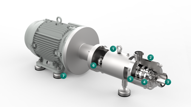 NOTOS® 2NSH Hygienic Twin Screw Pump - NETZSCH Pumps & Systems